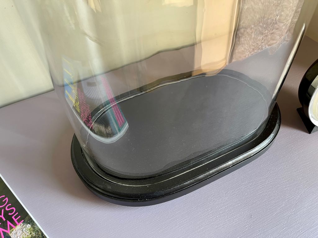 Original Victorian Oval Dome Display Case – Antique, Vintage and Retro ...